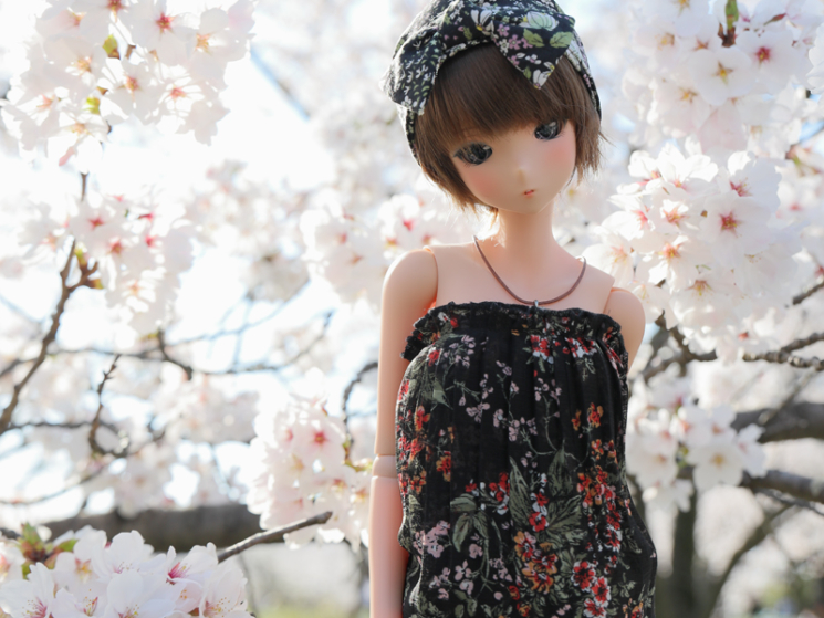 【Doll Photo】Smartdoll Chitose | MarukoHalu