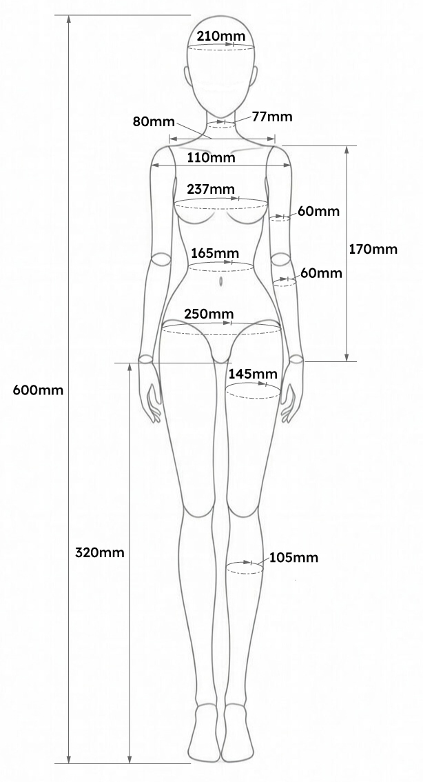 Fitting Body Dimensions (Girls size) | フィッティングボディ寸法 (Girls size ...